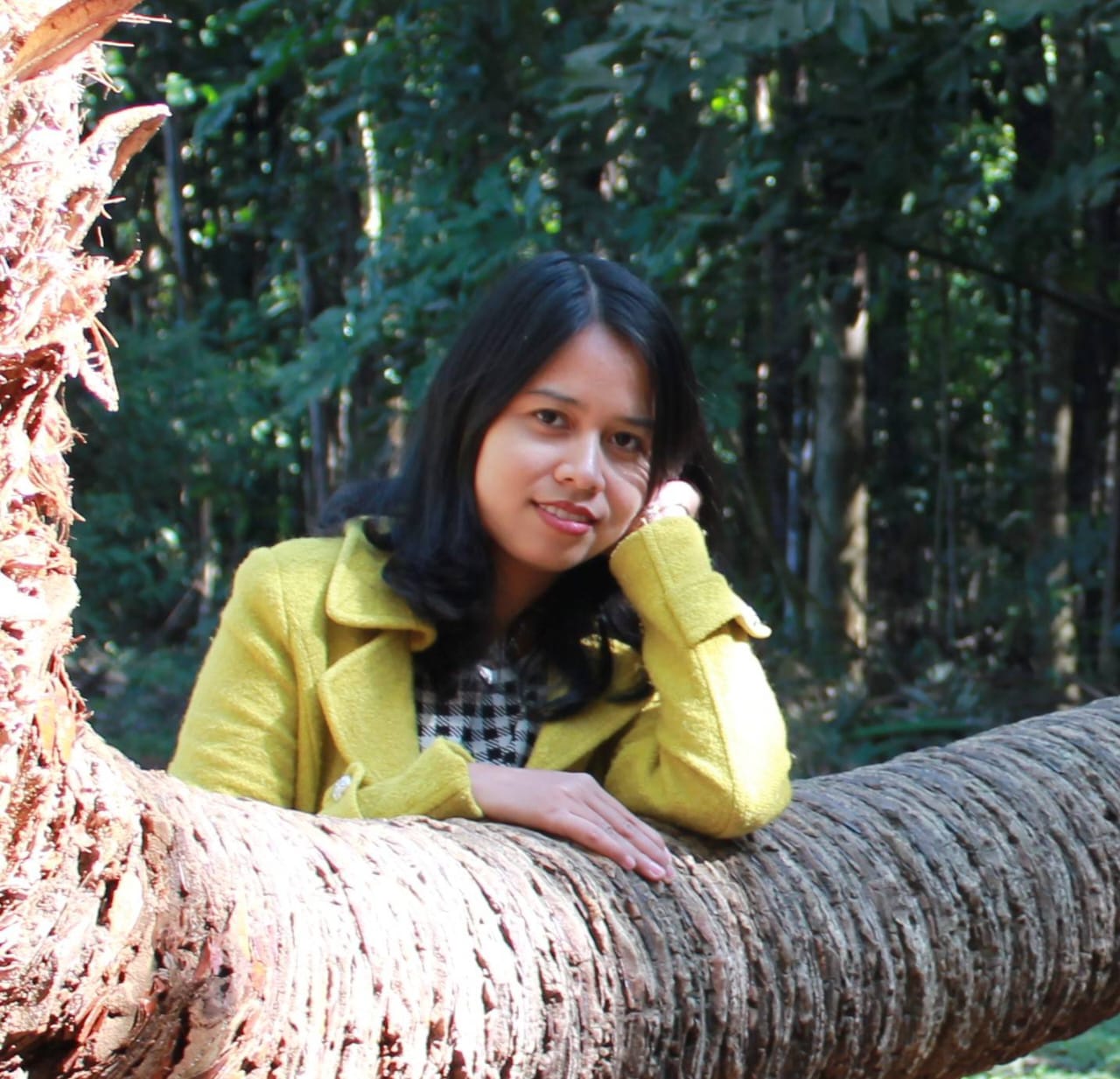 PMI Certified Professionals - Navesse | Project Management and Agile